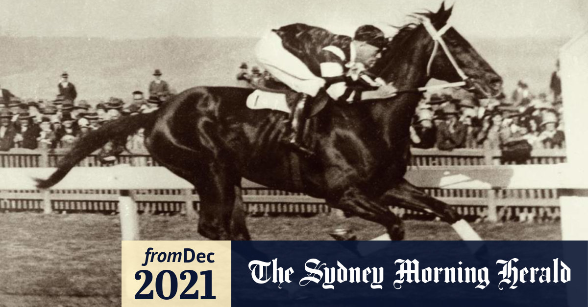 Killing Phar Lap: ‘Fake’ heart DNA tested amid battle to solve mystery ...