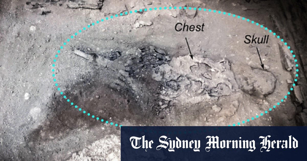 Mount Vesuvius: Human brain turned to glass by volcanic eruption
