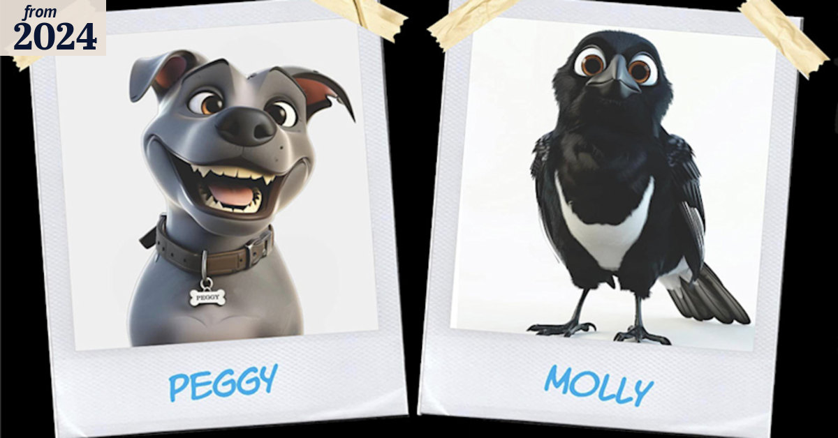 Government’s ‘please explain’ to Gold Coast magpie couple over animated ...