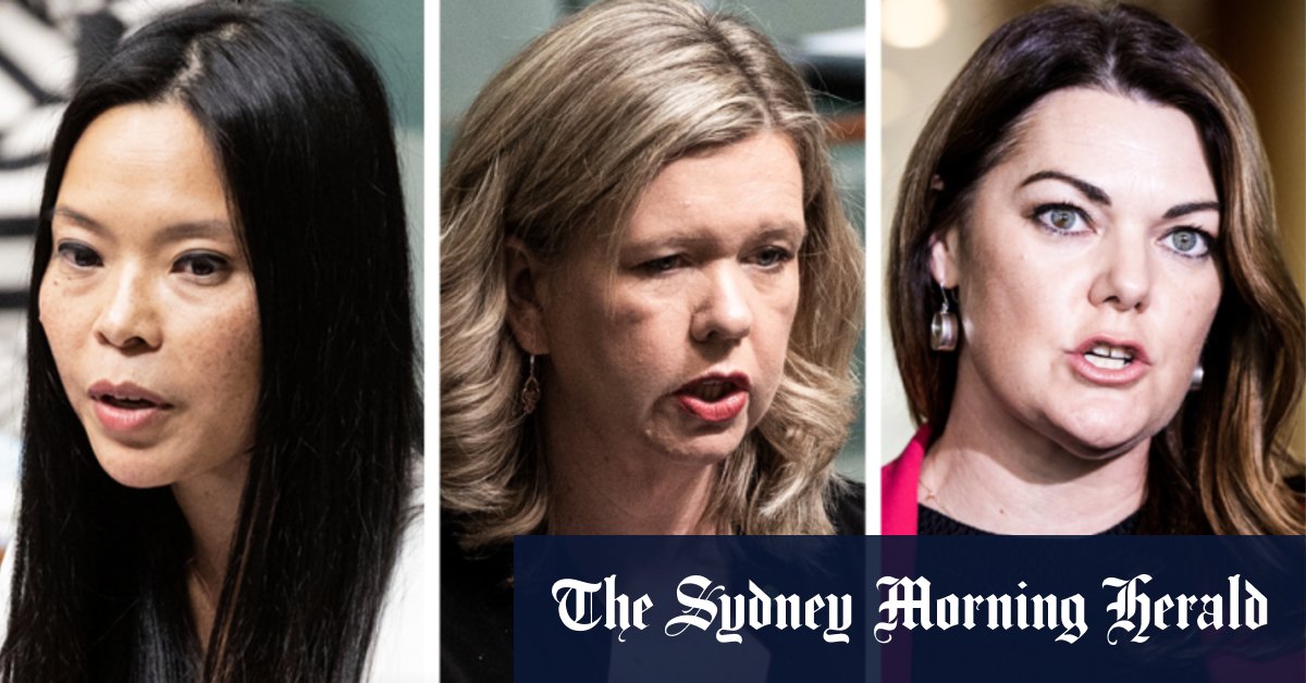 Female mentoring group to be set up in Parliament House