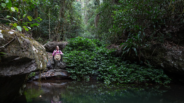 5 ways to escape into nature in Queensland's Scenic Rim