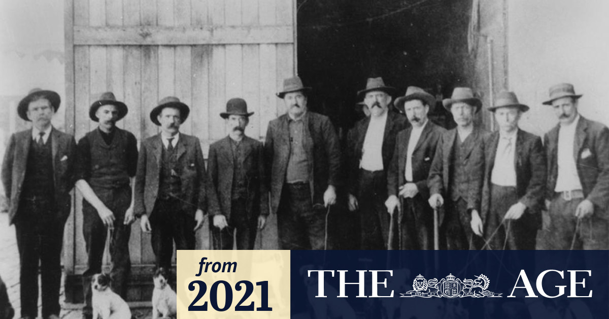 From the Archives, 1921: Bubonic plague outbreak in Brisbane