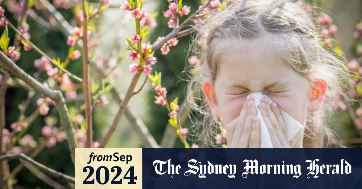 Allergies: A record 1 in 4 Australians now suffer from hay fever