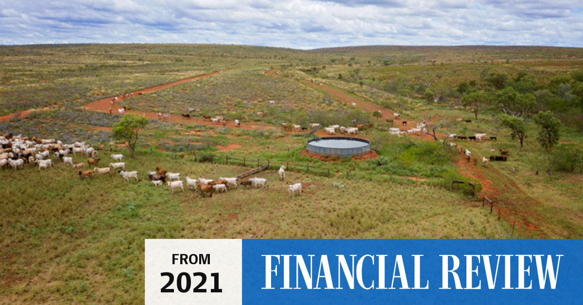 Gina Rinehart sells WA cattle stations for $100m