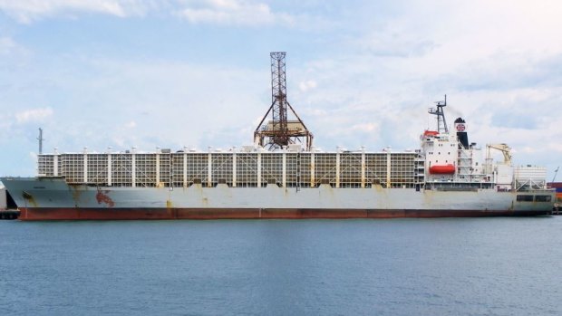 'Business as usual': RSPCA concern over lack of action on live export