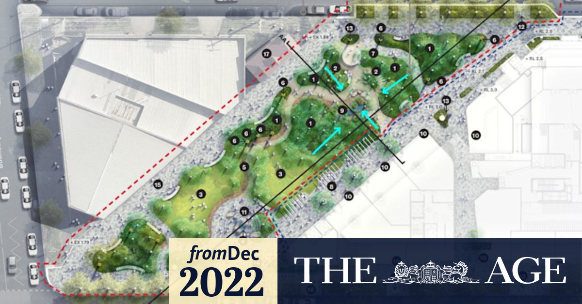 Fishermans Bend: ‘Miyawaki’ forest a promising step for green space in ...