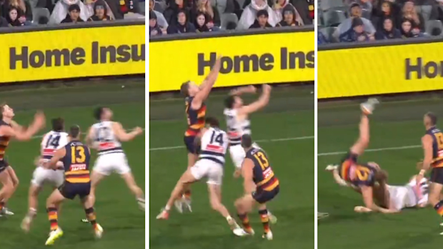 News 2026: Adelaide challenging Taylor Walker suspension; Matthew Lloyd ...