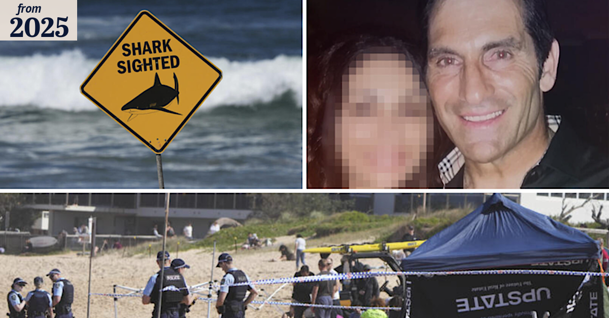 Dee Why shark attack: Chris Minns pauses shark net trial after death of ...