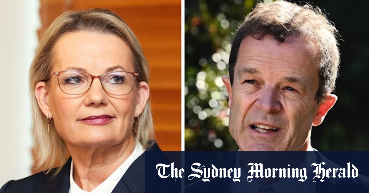 Octogenarian Victorians ousted from NSW Libs, but not before trying to ...