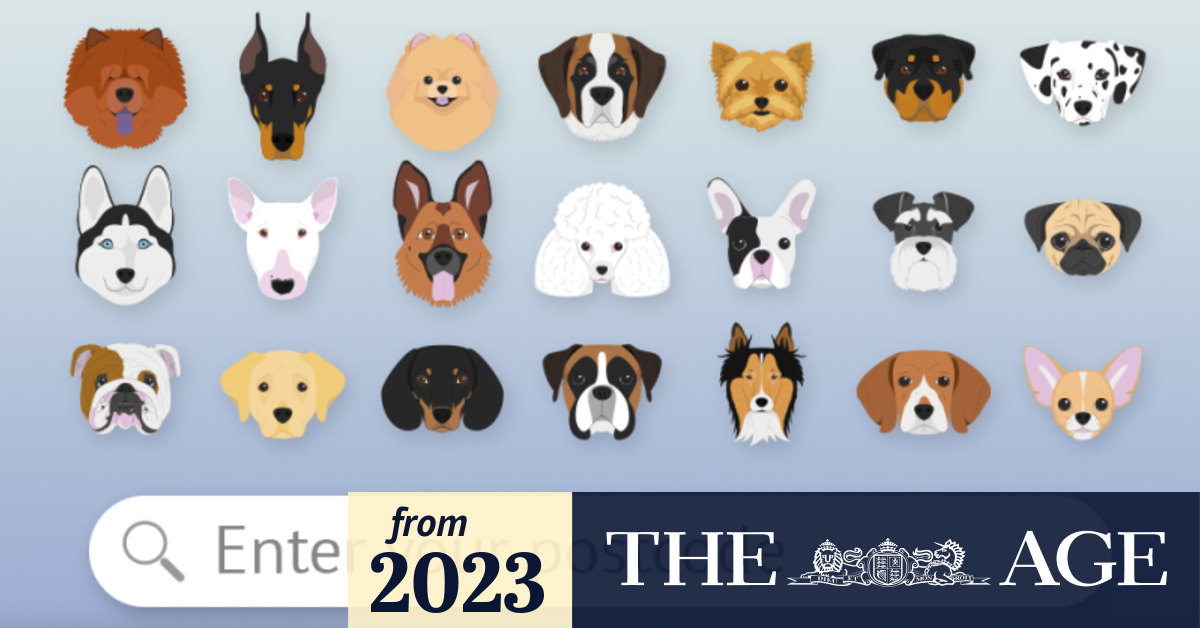 Victoria’s most popular dog breeds: Central Animal Records data