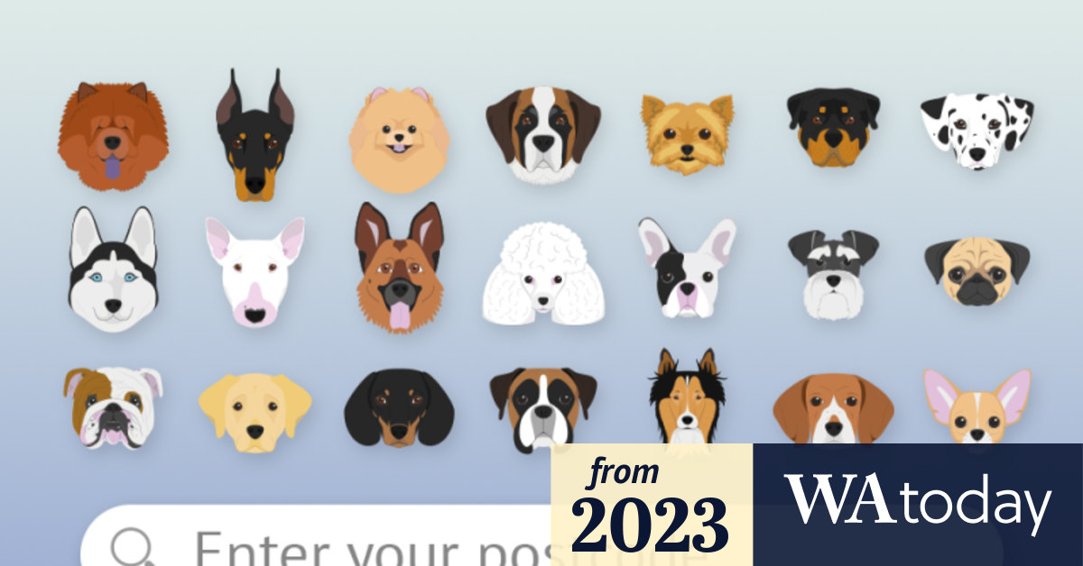 Perth dogs: What is the most popular breed in your WA postcode?