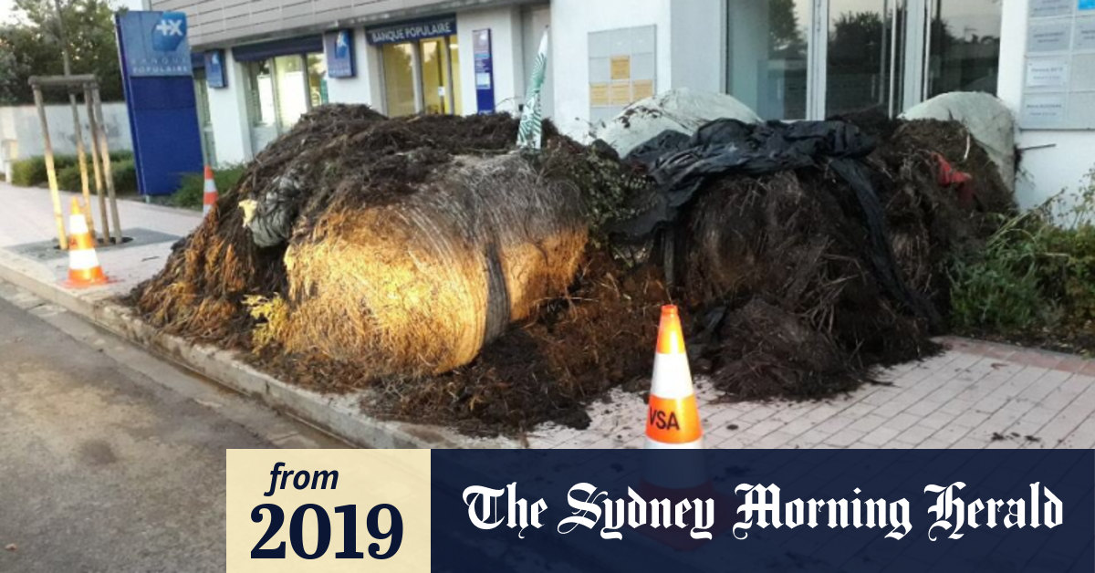 French farmers dump manure outside Macron MP's office