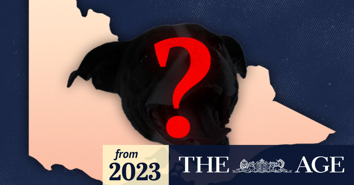 Most popular dog breeds in Victoria according to Central Animal Records ...