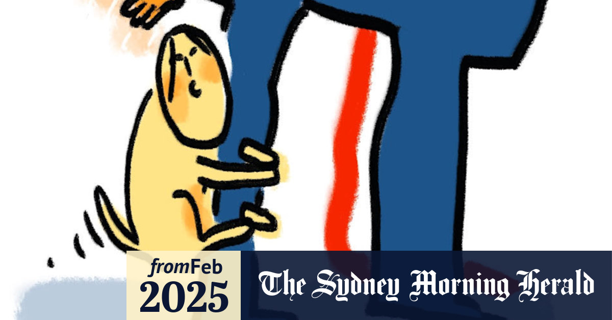 Best of cartoons, February 20, 2025