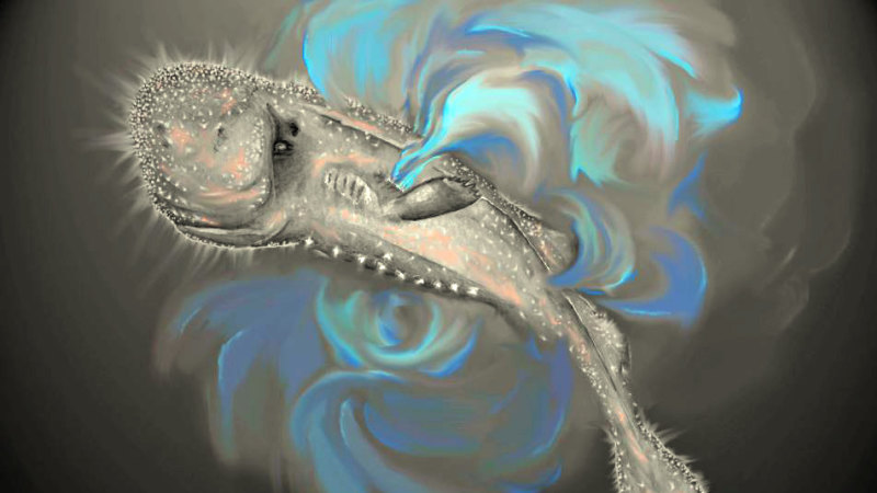 Pocket-sized pocket shark a new and glowing species