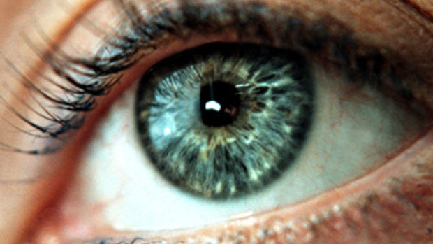 Scientists find 'good' cholesterol could increase risk of eye disease
