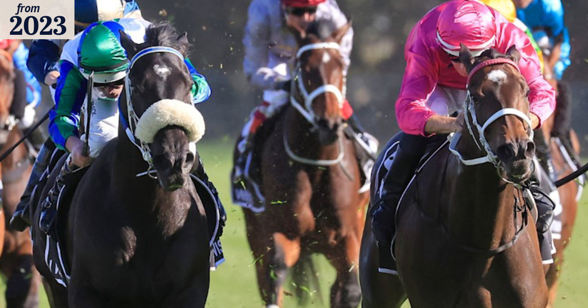 Margin call: The incredible close finishes that have made the Golden ...