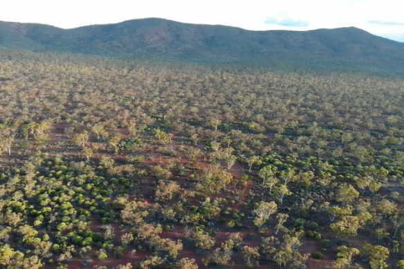 ‘Dehydrated, tired’ hiker found after five days missing in WA national park