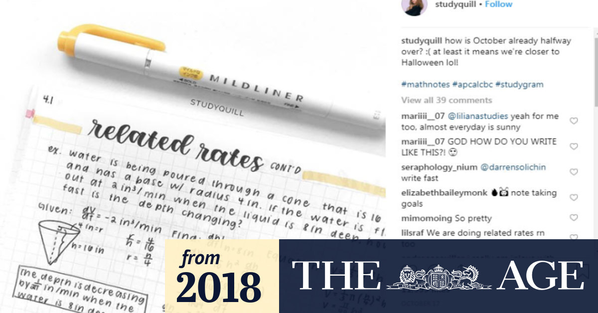 'Ur so good omg': Insta fans go nuts over perfect study notes