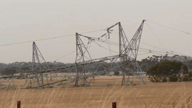 power lines down brisbane