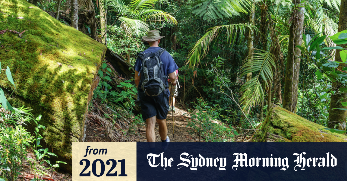 How to see the best of the Scenic Rim