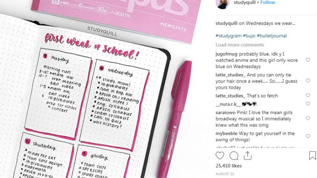 'Ur so good omg': Insta fans go nuts over perfect study notes