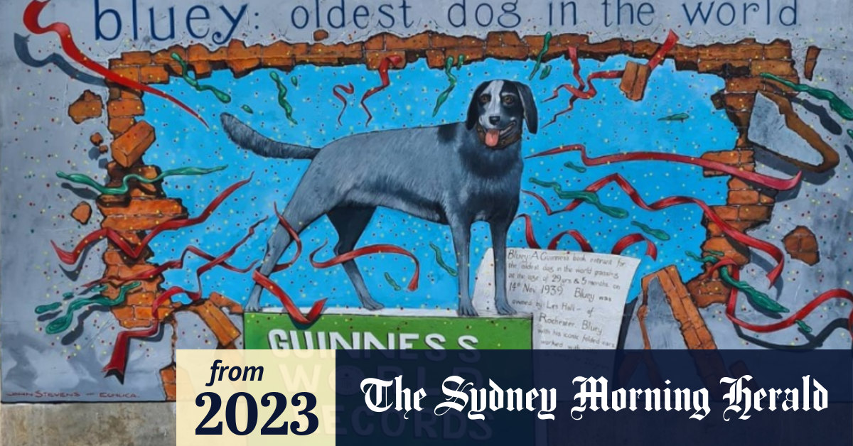 World’s oldest dog: Bobi beats Australia’s Bluey