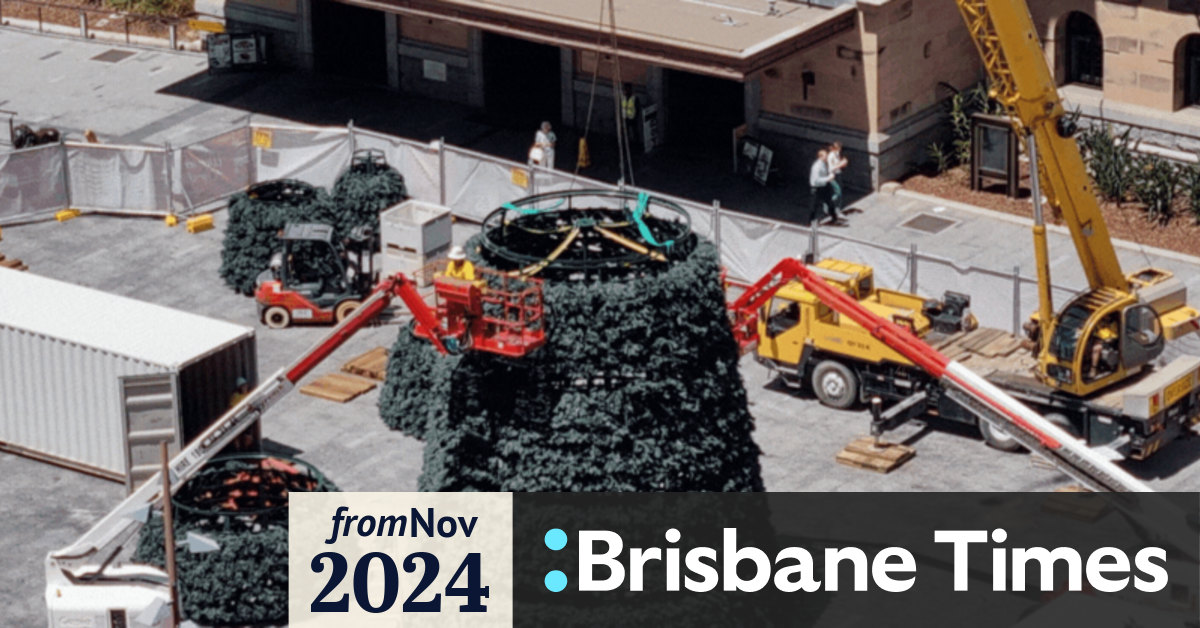 Yule look up: Six-tonne tree will twinkle to voice of celebrity singer