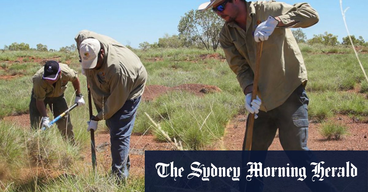 First Nations science backed by Ed Husic as national priority