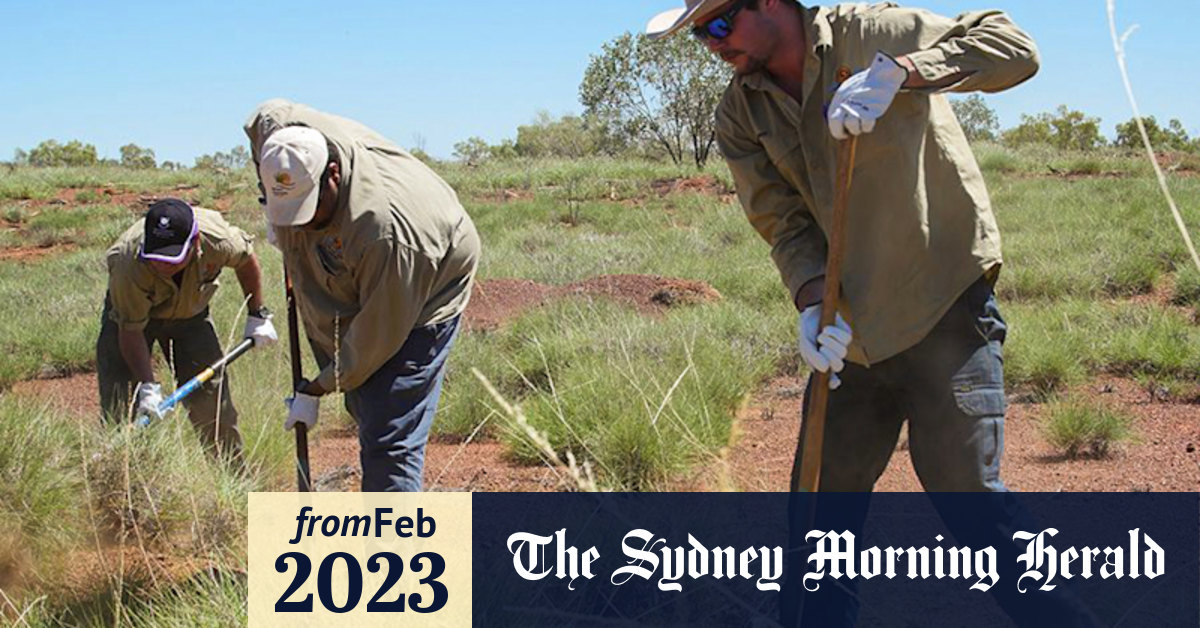 First Nations science backed by Ed Husic as national priority