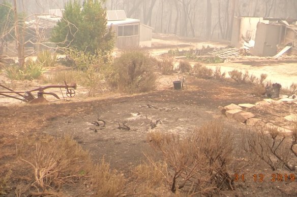 Two Great Danes, a cat quartet and a couple ride out fire in shipping ...