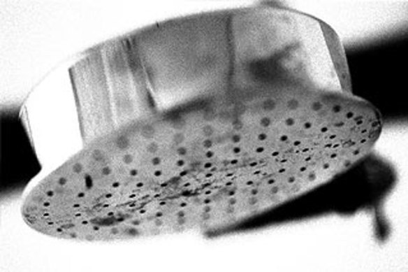 I Had Cold Showers Every Day For A Week Why You Should Try It Too