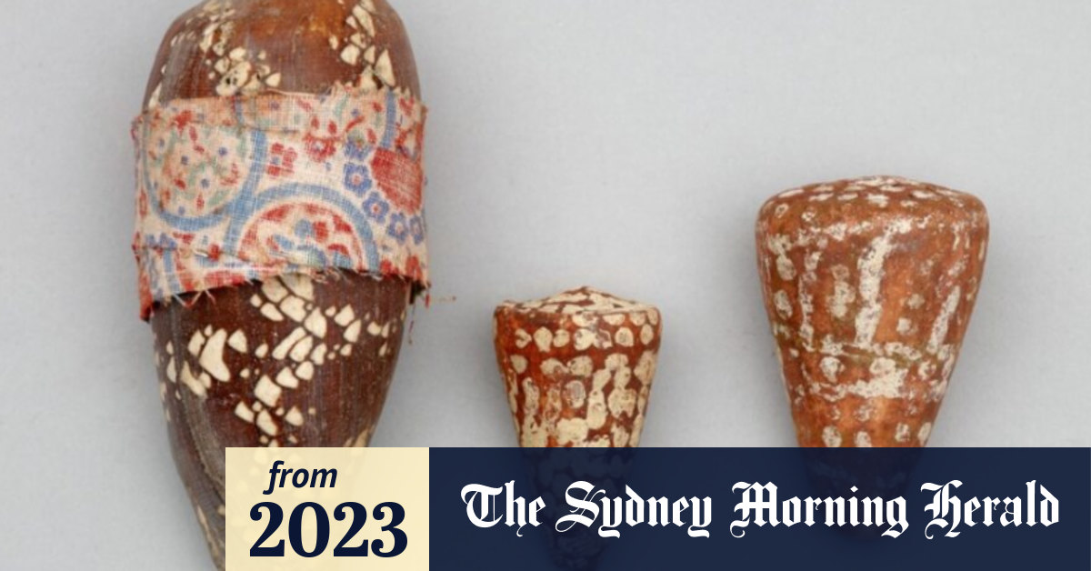 Aboriginal artefact repatriation: Manchester Museum returns shell dolls ...
