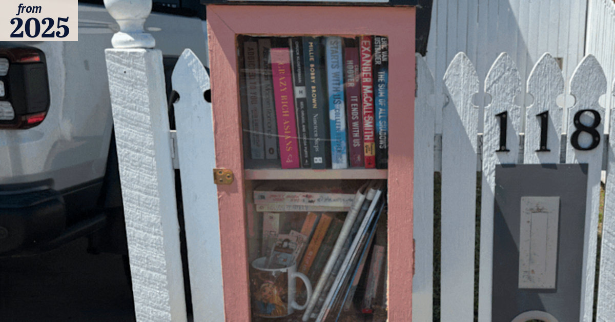 Clontarf woman’s “illegal book box” sparks community support and ...