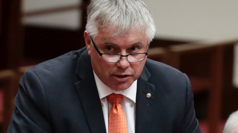 Centre Alliance's Rex Patrick: The senator who will broker our future