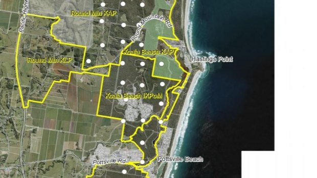 Can Queensland protect koalas, build new homes and lift land values ...