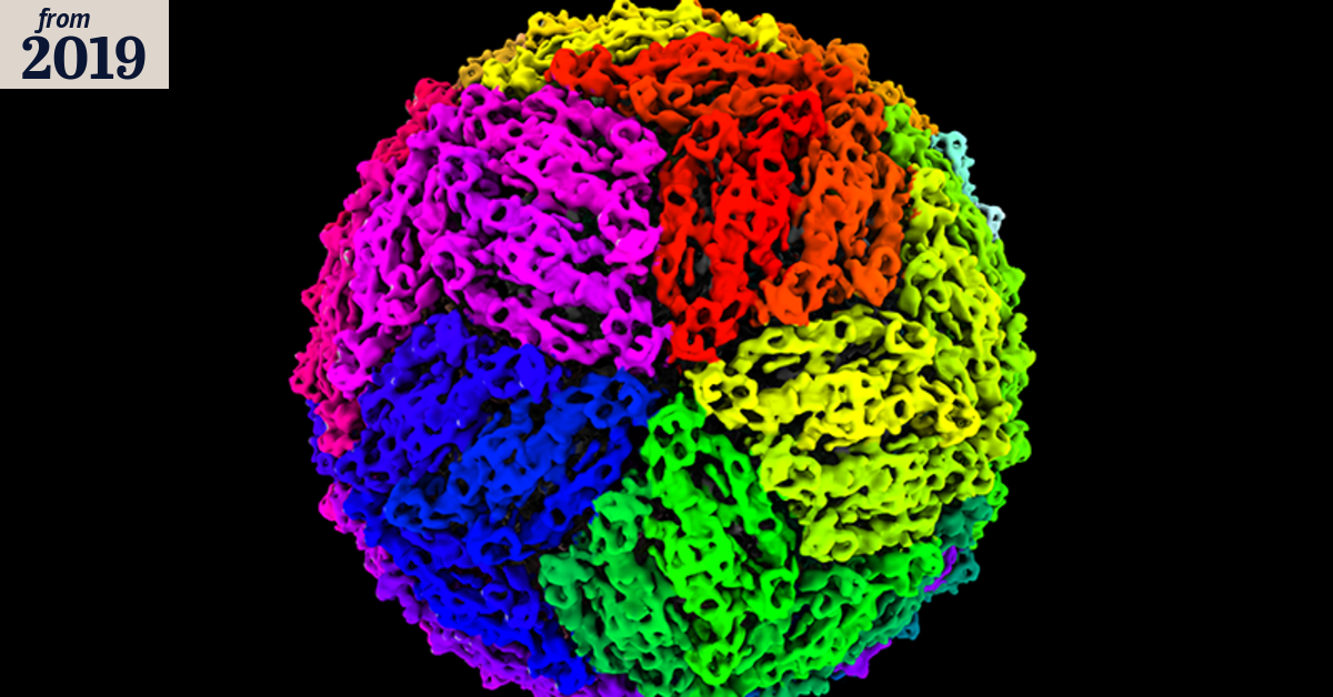Virus mimic used to create safe vaccines for mosquito-borne diseases