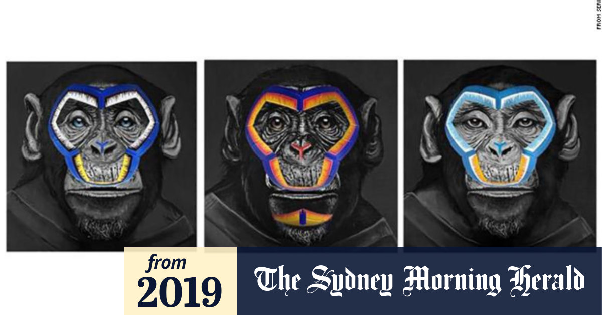 Serie A anti-racism campaign fails after paintings of monkeys featured