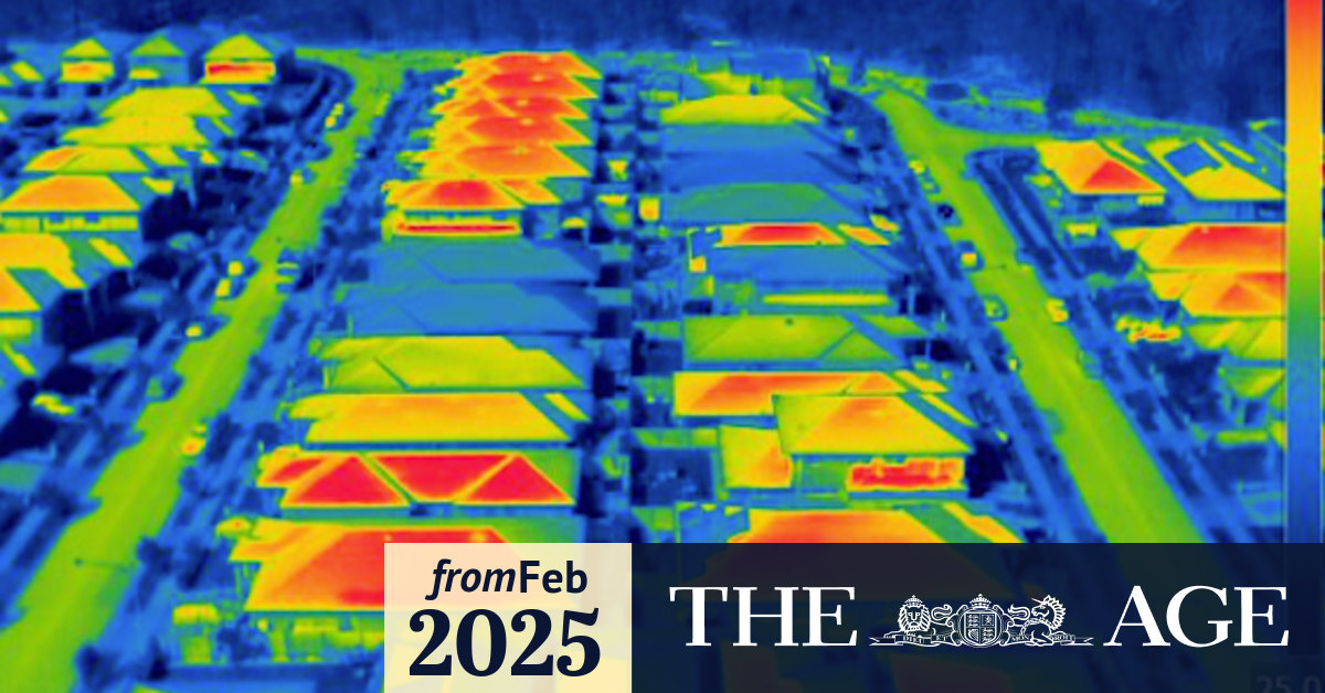 How lack of trees in Melbourne and Sydney suburbs could be affecting ...