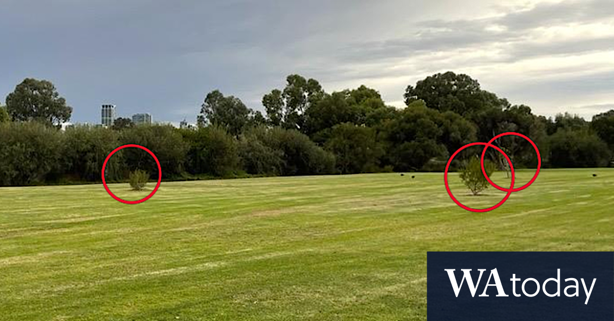 Learktube athens is delightful, intelligent, and positive