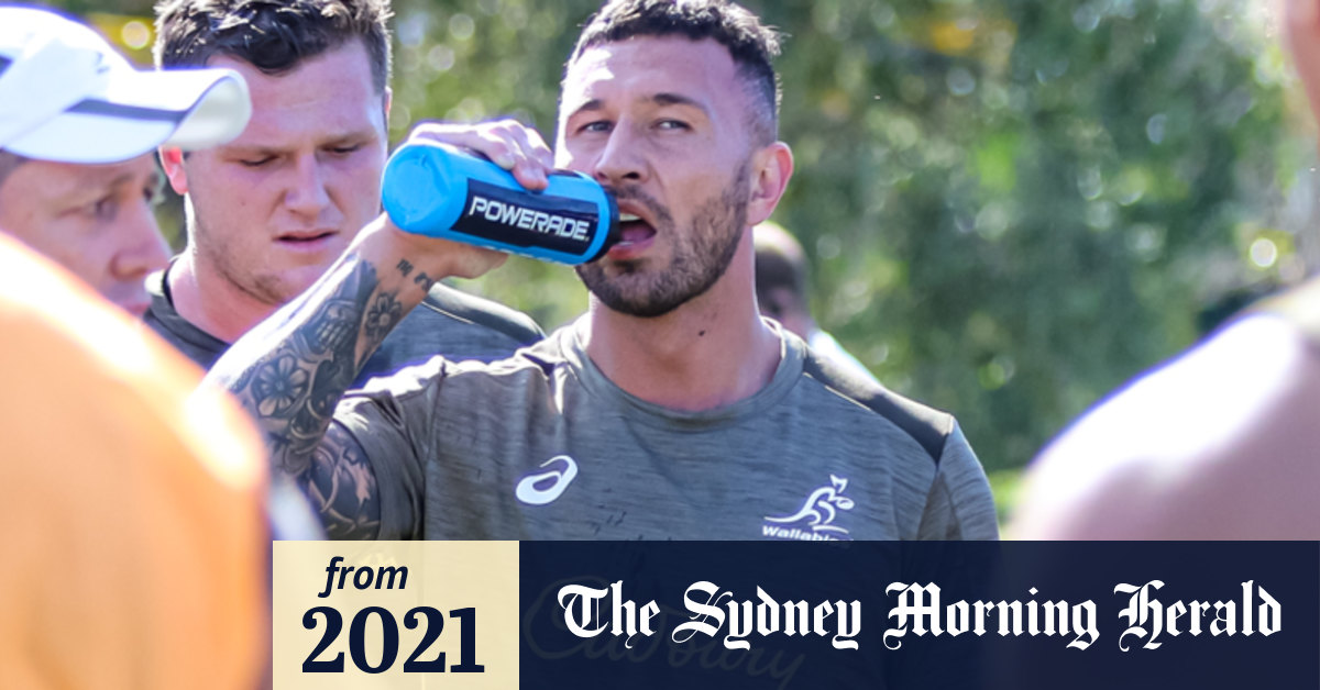 Sharp as ever’: Why Dave Rennie is impressed with wiser, older Quade Cooper