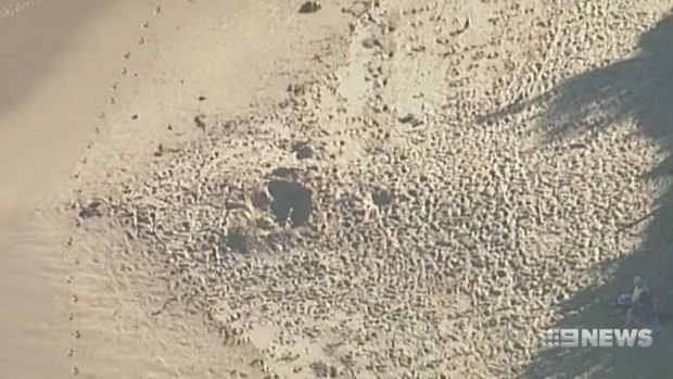 SA: Boy rescued after being buried alive on beach