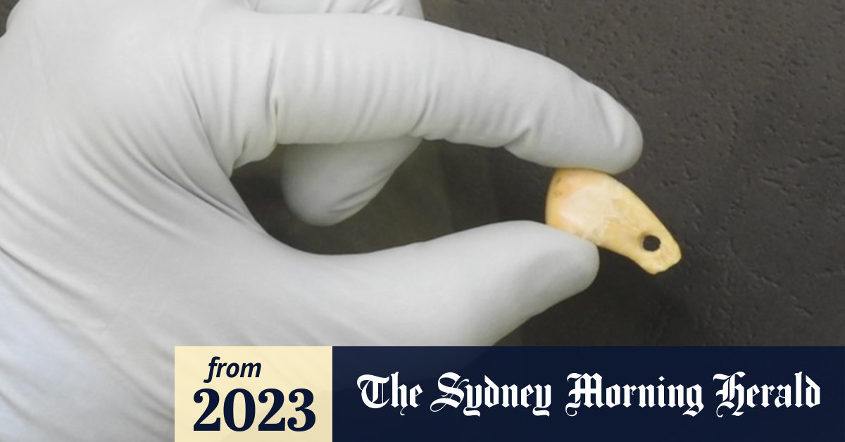 Tooth’s truth revealed: DNA tells us who held artefact 20,000 years ago