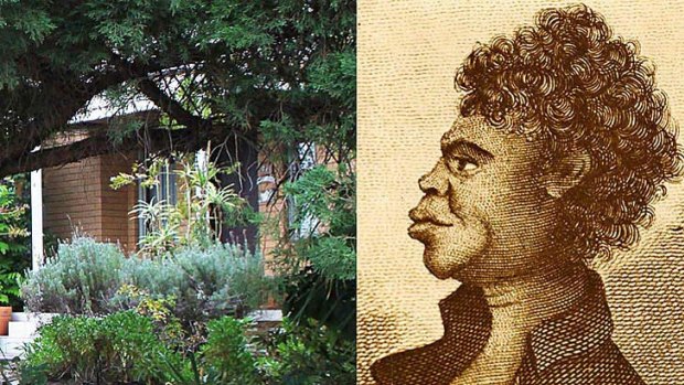 What next for Bennelong's grave?