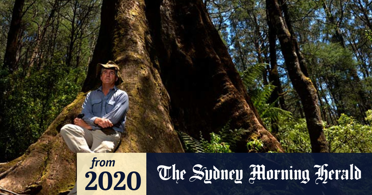 Top scientists back Australian ecologist David Lindenmayer in ...