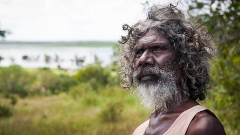 Legendary actor David Gulpilil wins top NAIDOC honour