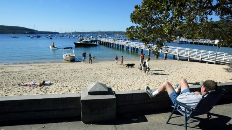 Life behind the latte line: not everyone in Mosman is wealthy