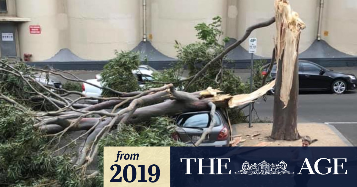 Victoria weather: Power outages continue to leave thousands in blackout ...