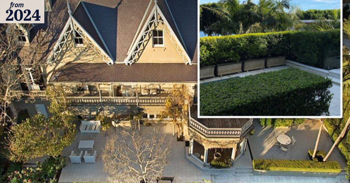 Trees blocking view: Sydney businessman loses court case over palm ...