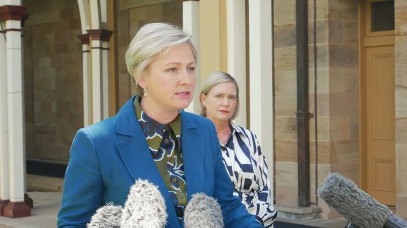 Qld peak body for sexual violence to be established, DV body fast-tracked